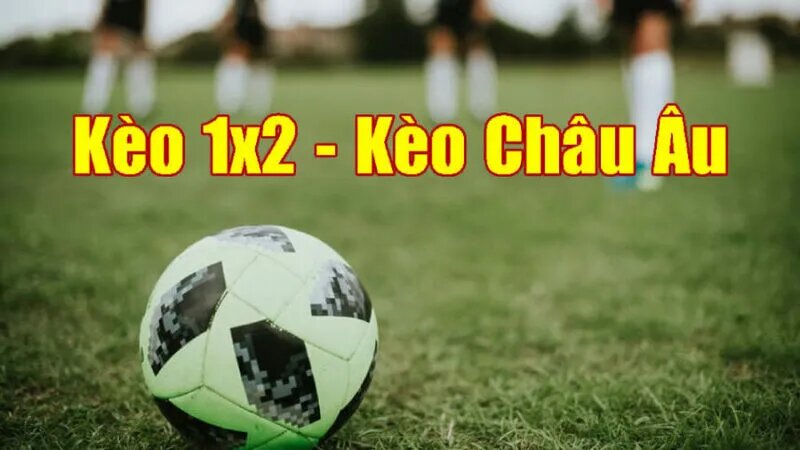 Tỷ lệ kèo - Odds có nghĩa là gì? Những điều bạn cần biết về tỷ lệ kèo ...
